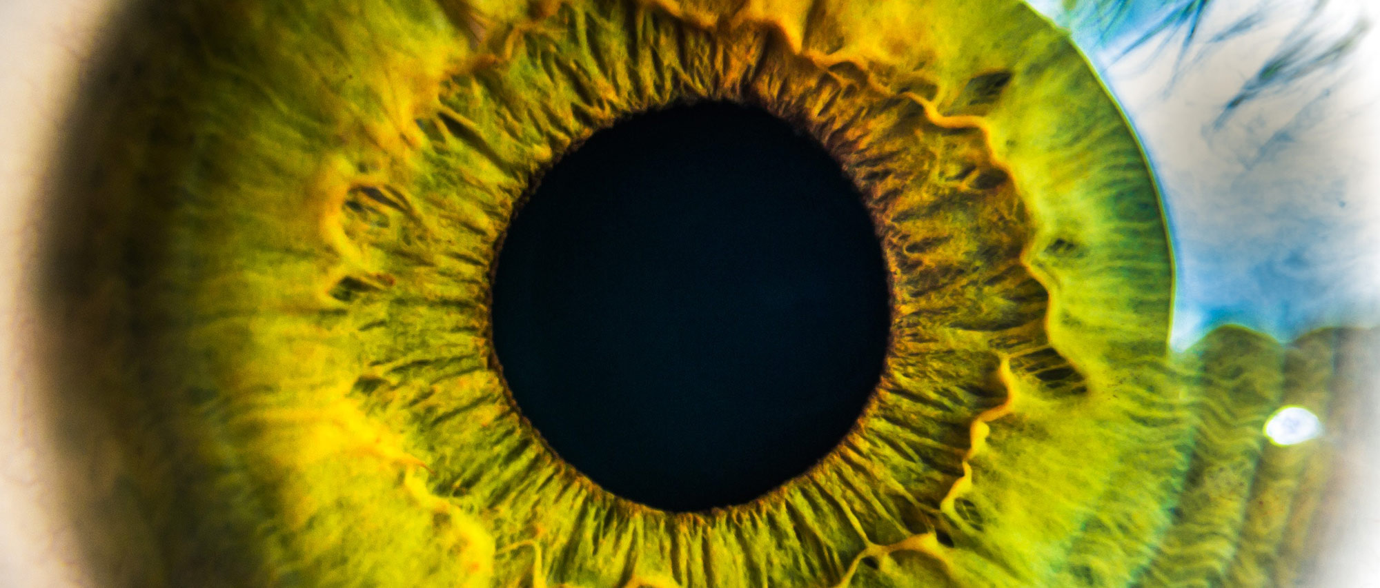 3 best practices for B2B visual content | Demodia