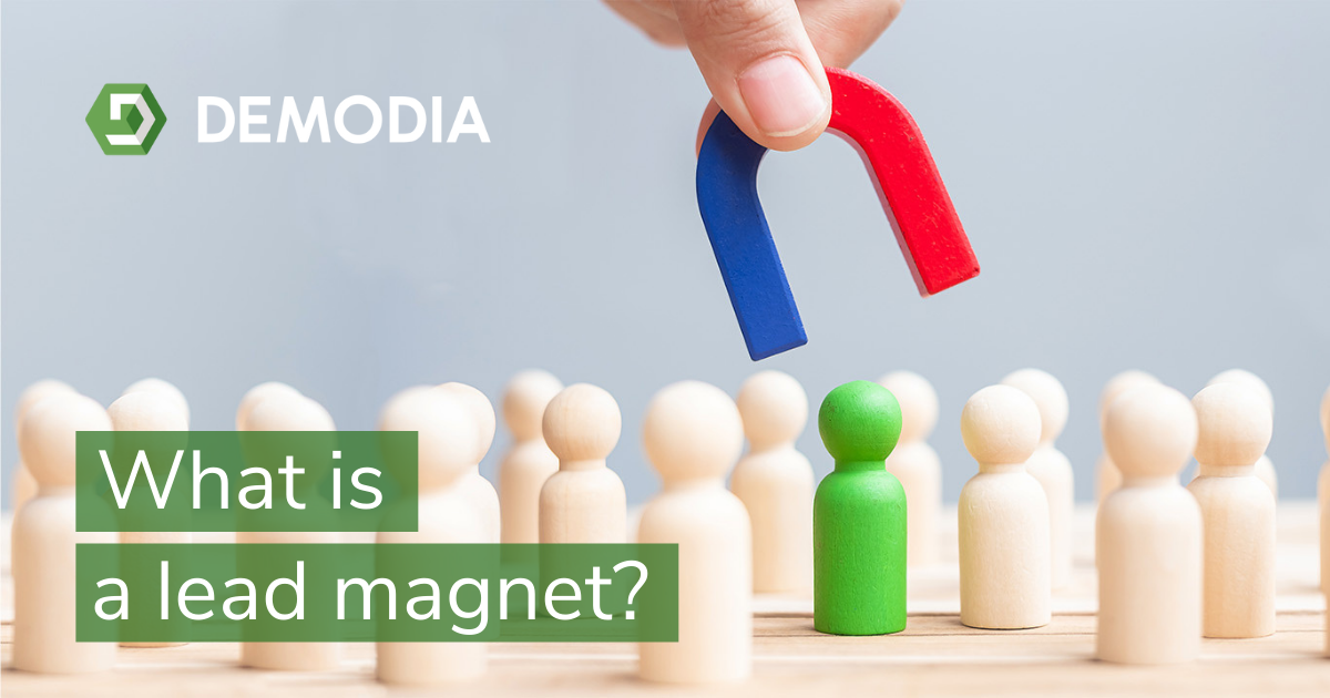 What is a lead magnet? | Demodia